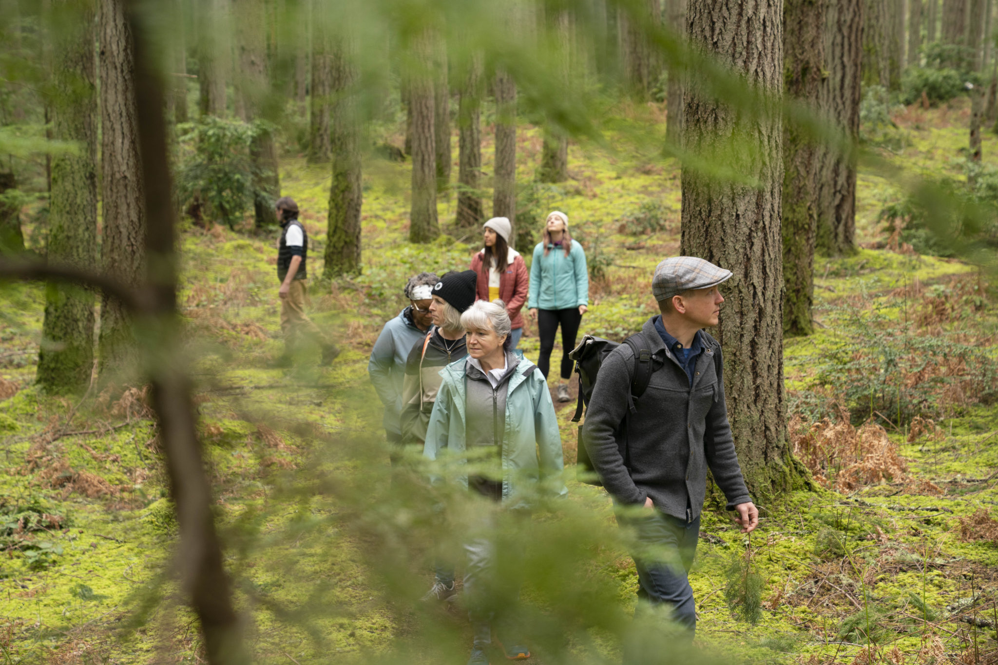 Forest Bathing and Awe: A Guided Walk in Railroad Bridge Park - Dungeness River Nature Center