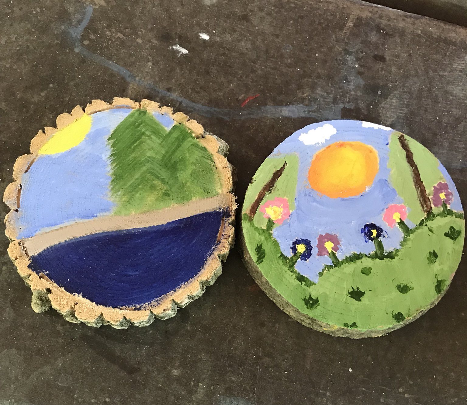 Nature Art for Kids – More Tree Cookies Please! - Dungeness River ...