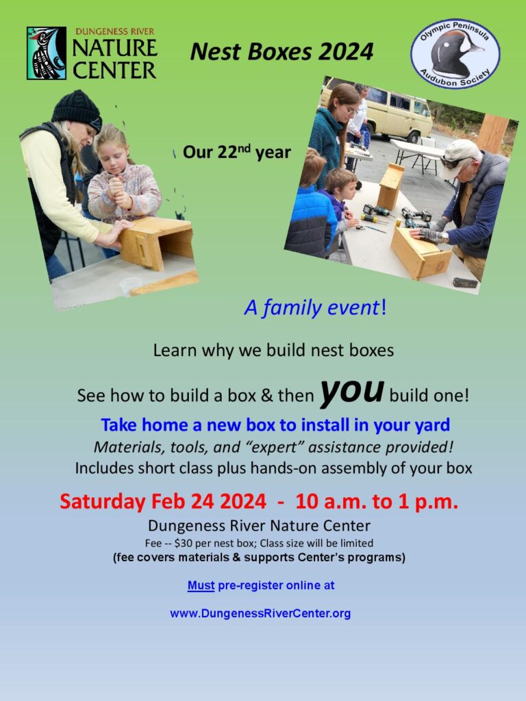 Nest Box Building Class - Dungeness River Nature Center