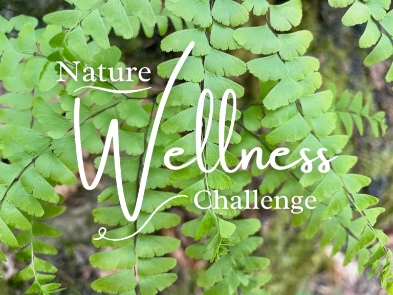 NEW Nature Wellness Challenge - Dungeness River Nature Center