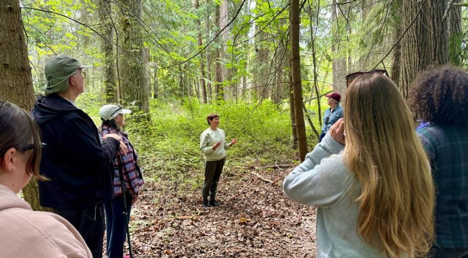 Forest Immersion: A Guided Walk - Dungeness River Nature Center