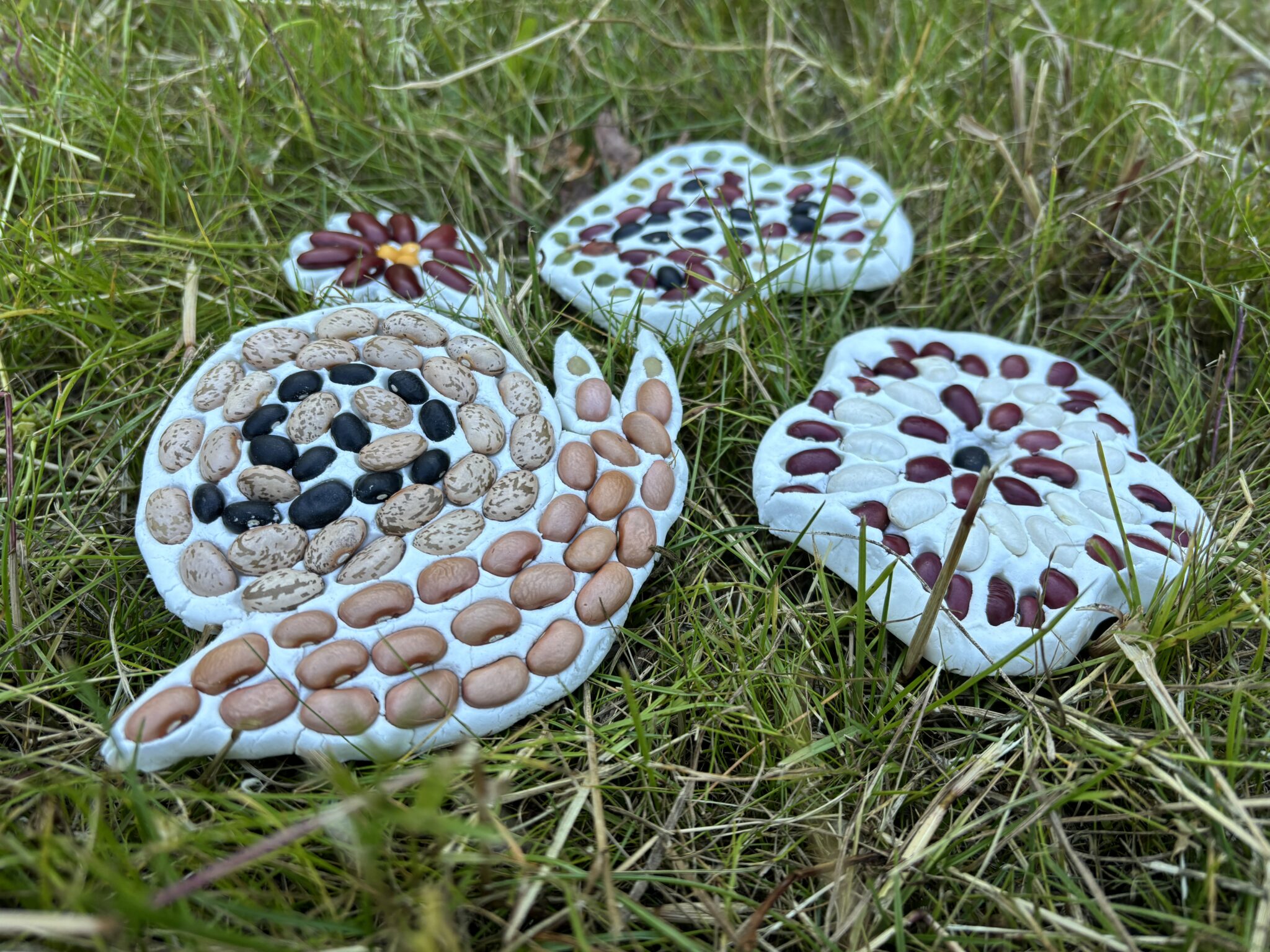 Nature Art for Kids: Bean Mosaics - Dungeness River Nature Center