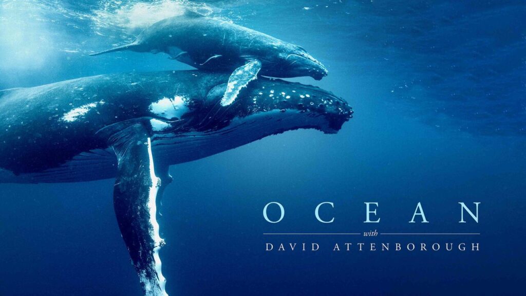 Film Screening: Ocean with David Attenborough - Dungeness River Nature Center