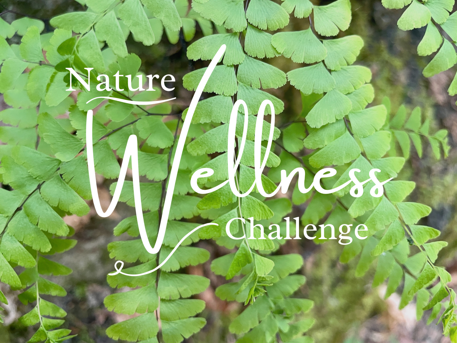2026 Nature Wellness Challenge - Dungeness River Nature Center